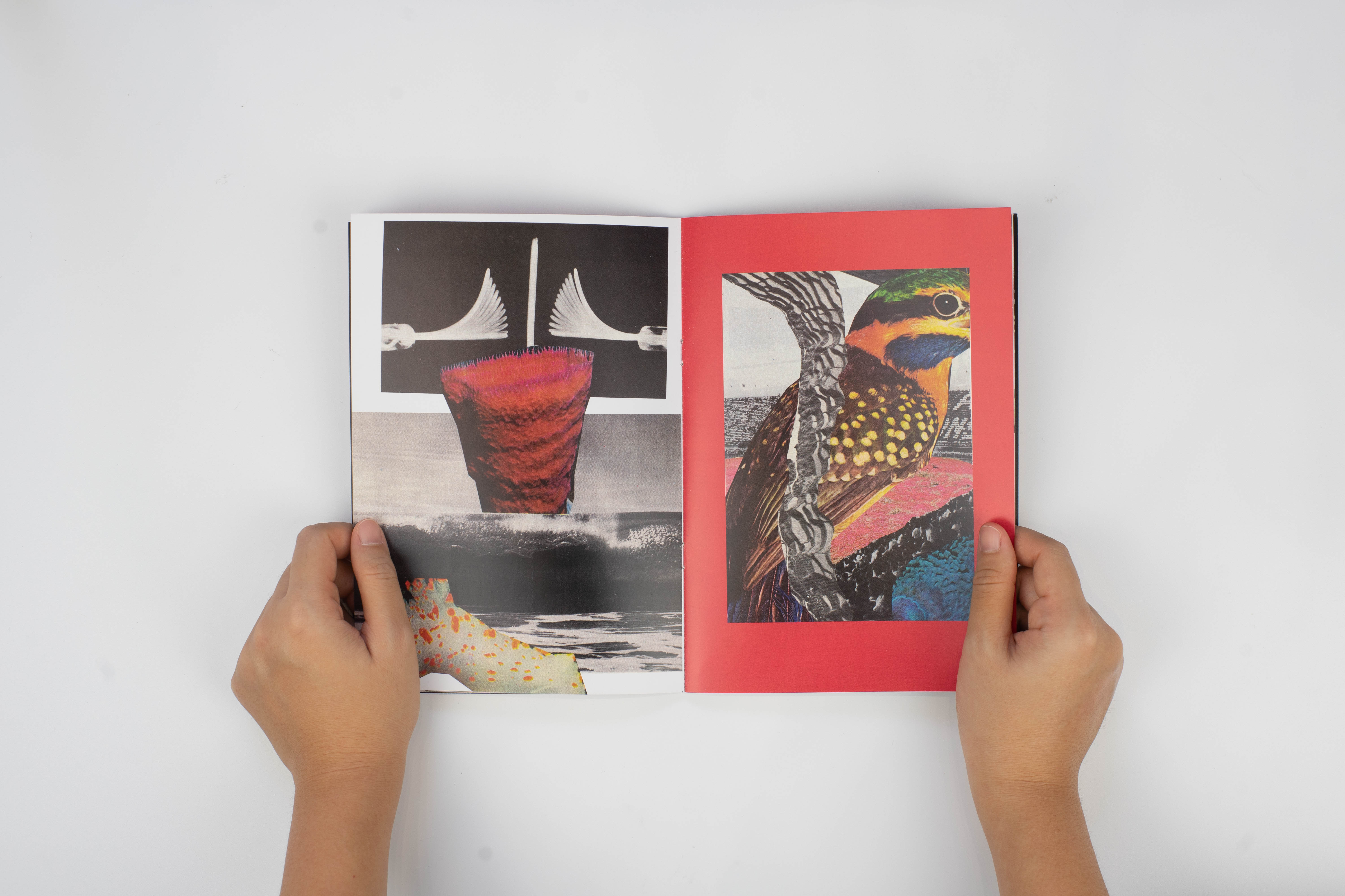 BON VOYAGE - BOOKSHOP LIBRARY